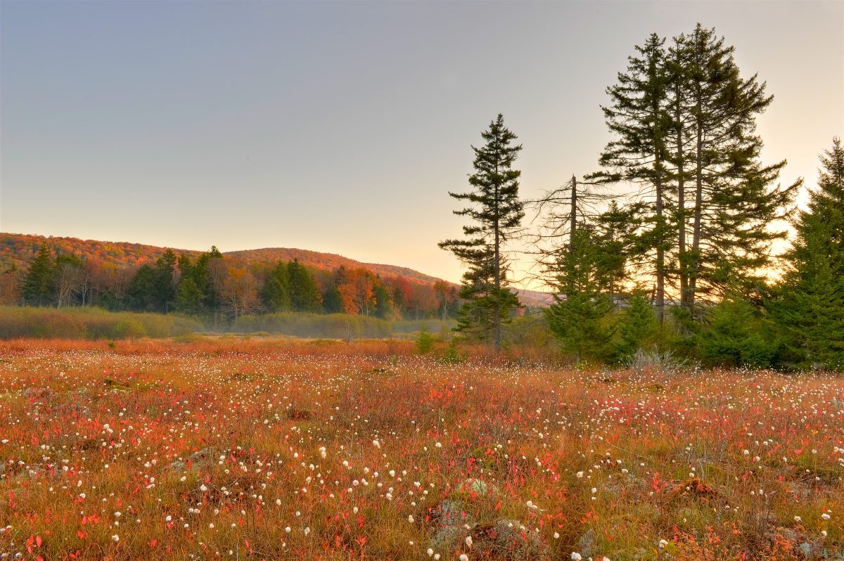 Cranberry Corridor - Almost Heaven - West Virginia