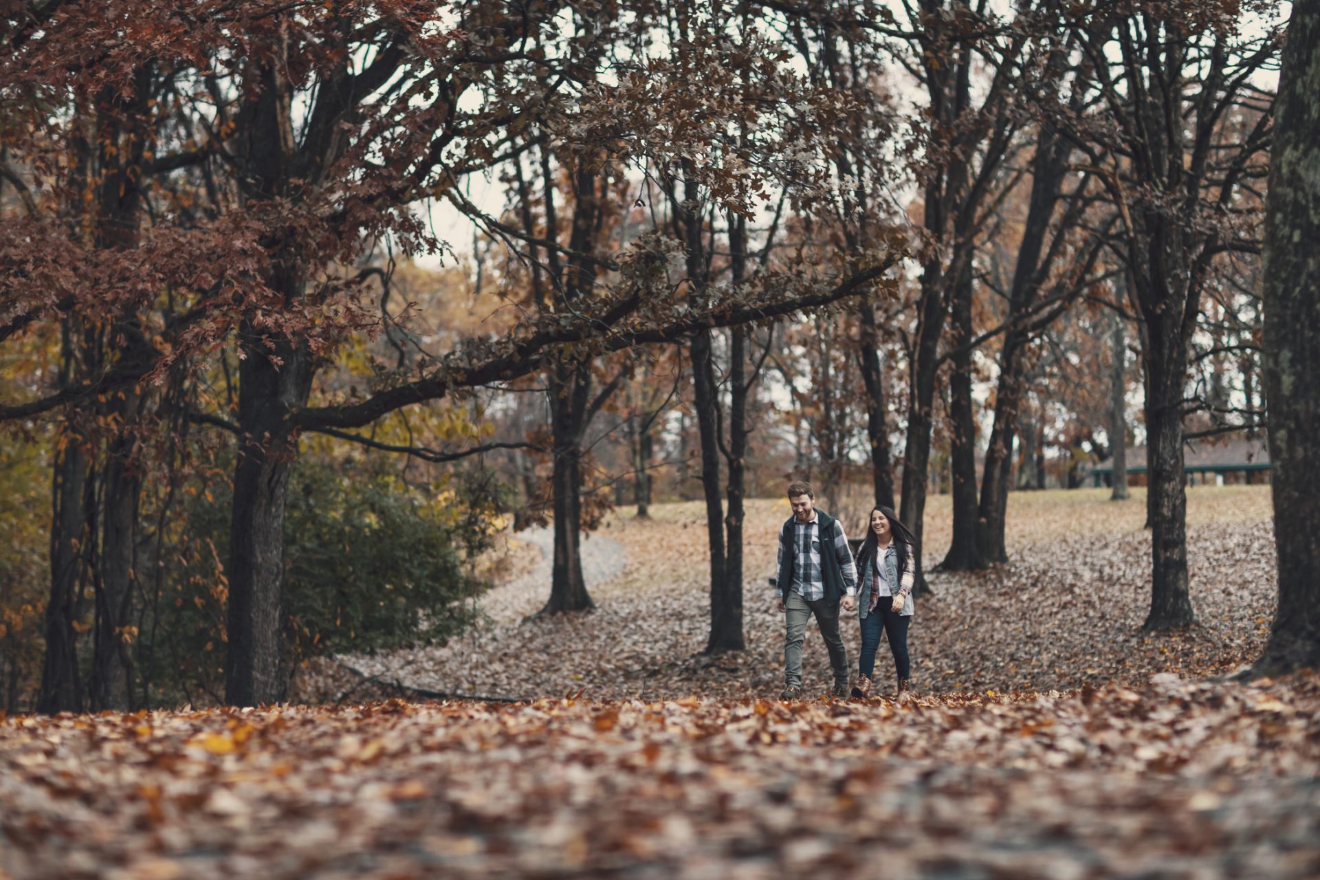 West Virginia covered with most dazzling fall foliage of the decade ...