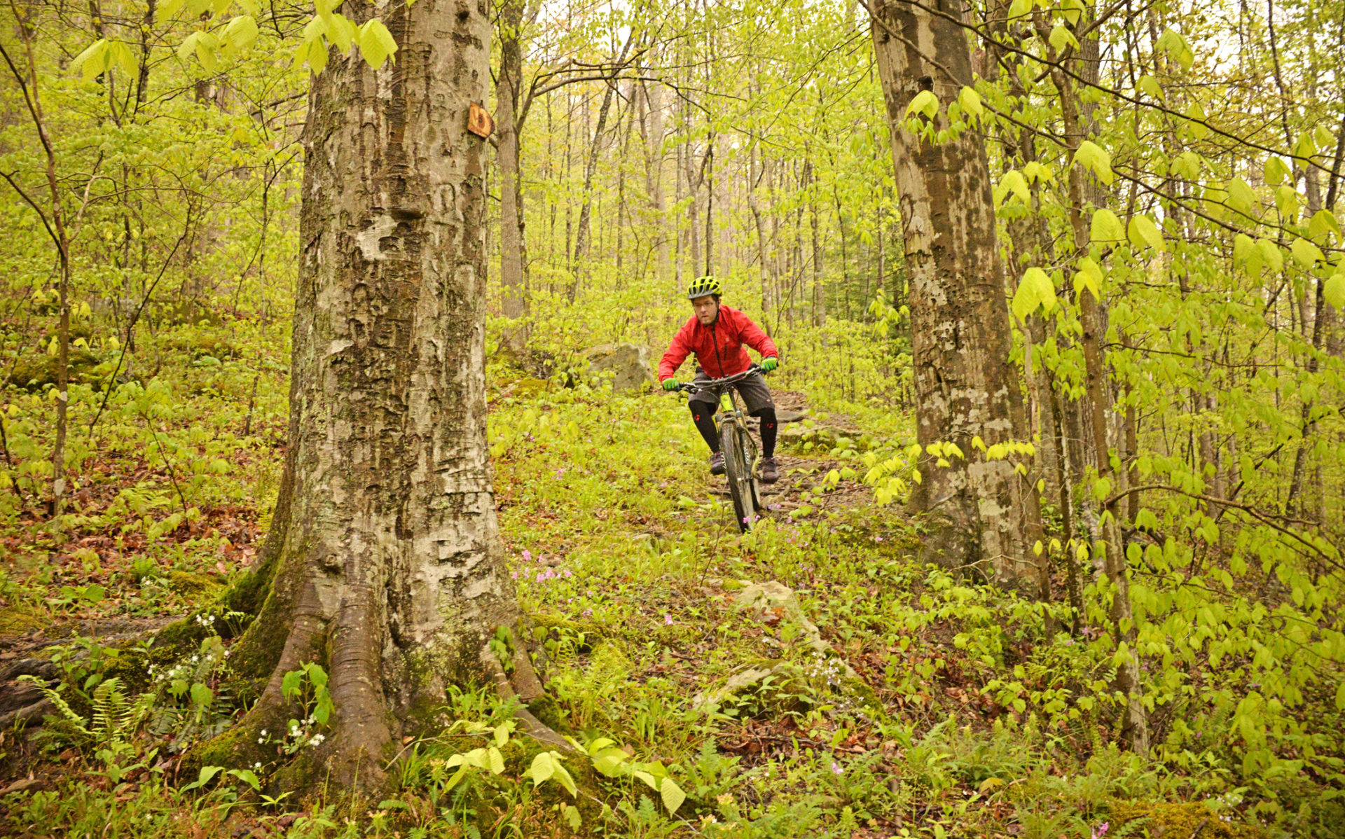 Your Metro Valley Mountain Biking Guide - Almost Heaven - West Virginia