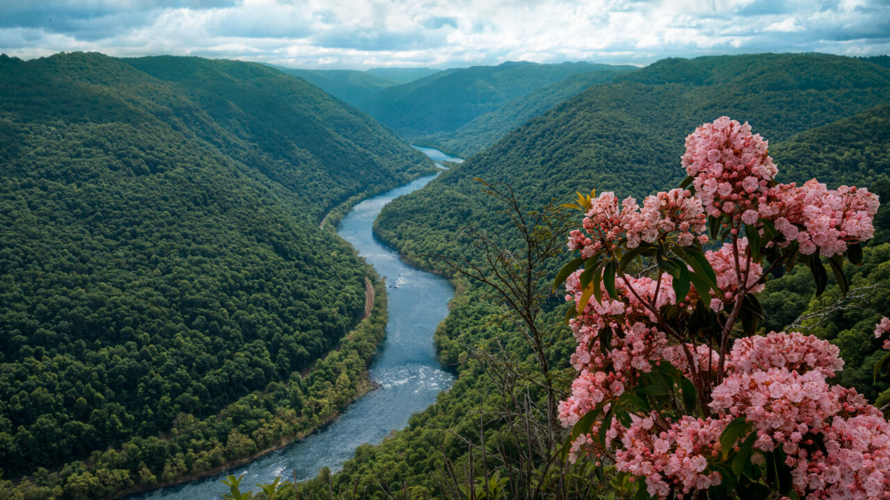 11 wonderful wildflower trails in West Virginia - Almost Heaven - West ...