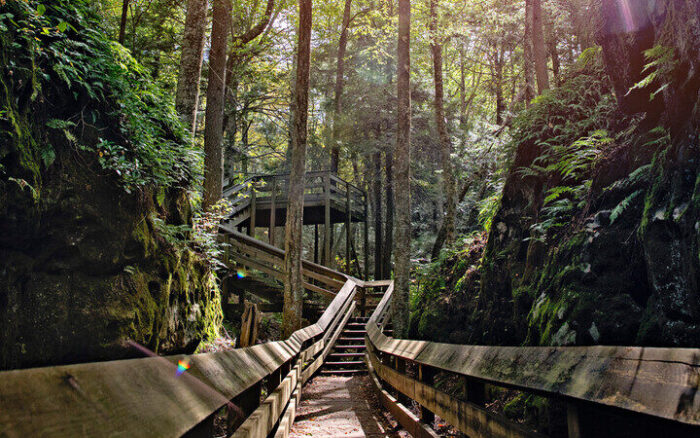 Spend 48 Hours in Pocahontas County, WV - Almost Heaven - West Virginia