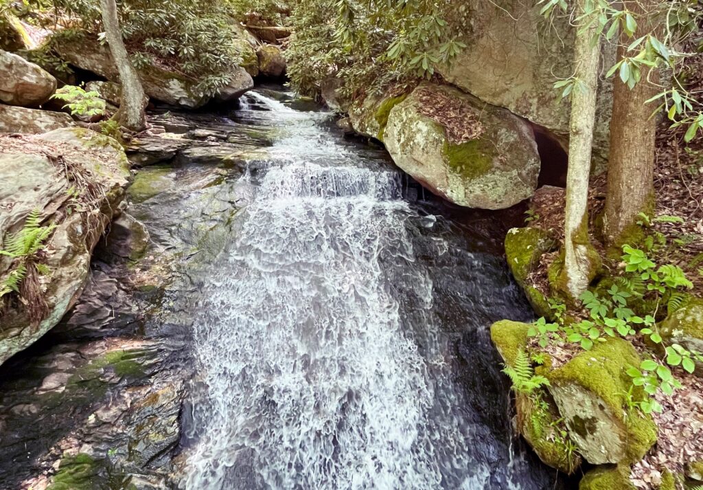 Stay Cool this Summer with the Newest Additions to West Virginia's ...