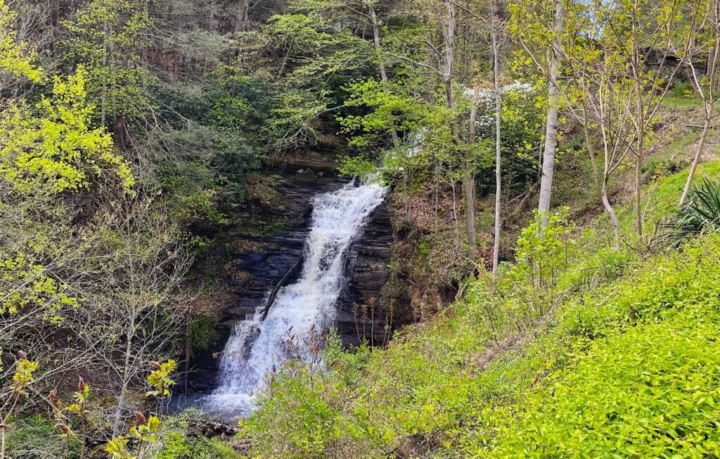Stay Cool this Summer with the Newest Additions to West Virginia's ...