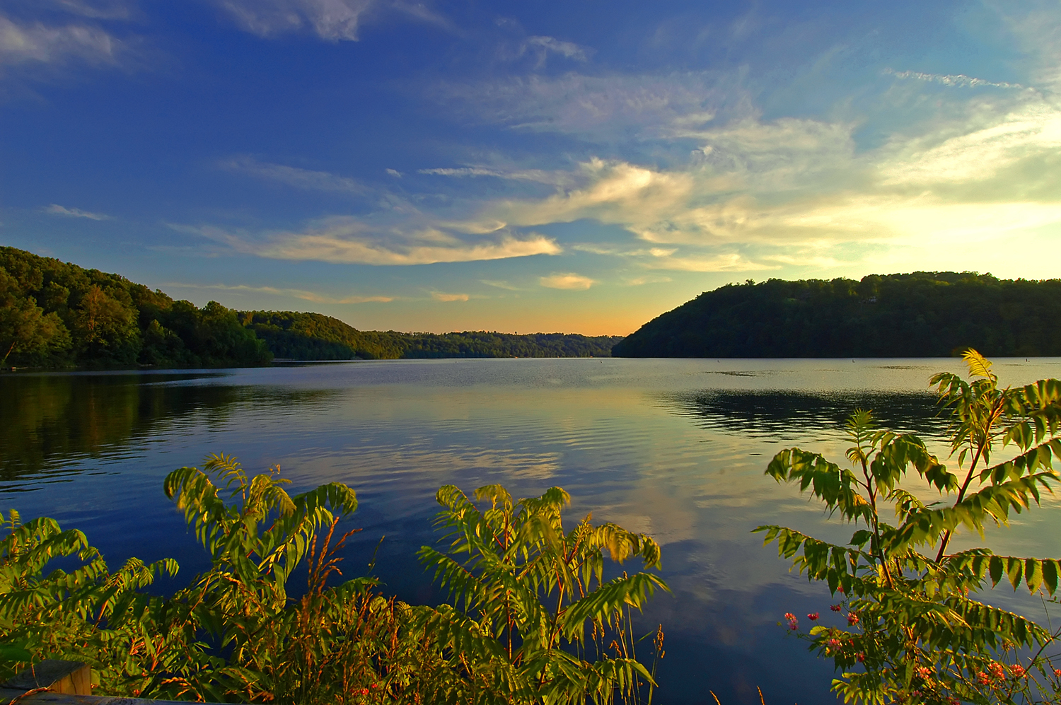 Soak Up The Sun With These 4 Lakeside Stays in West Virginia - Almost ...