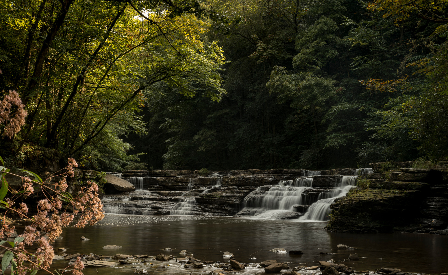 Checklist: Best thing to try at every WV State Park - Almost Heaven ...