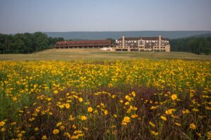 11 wonderful wildflower trails in West Virginia - Almost Heaven - West ...