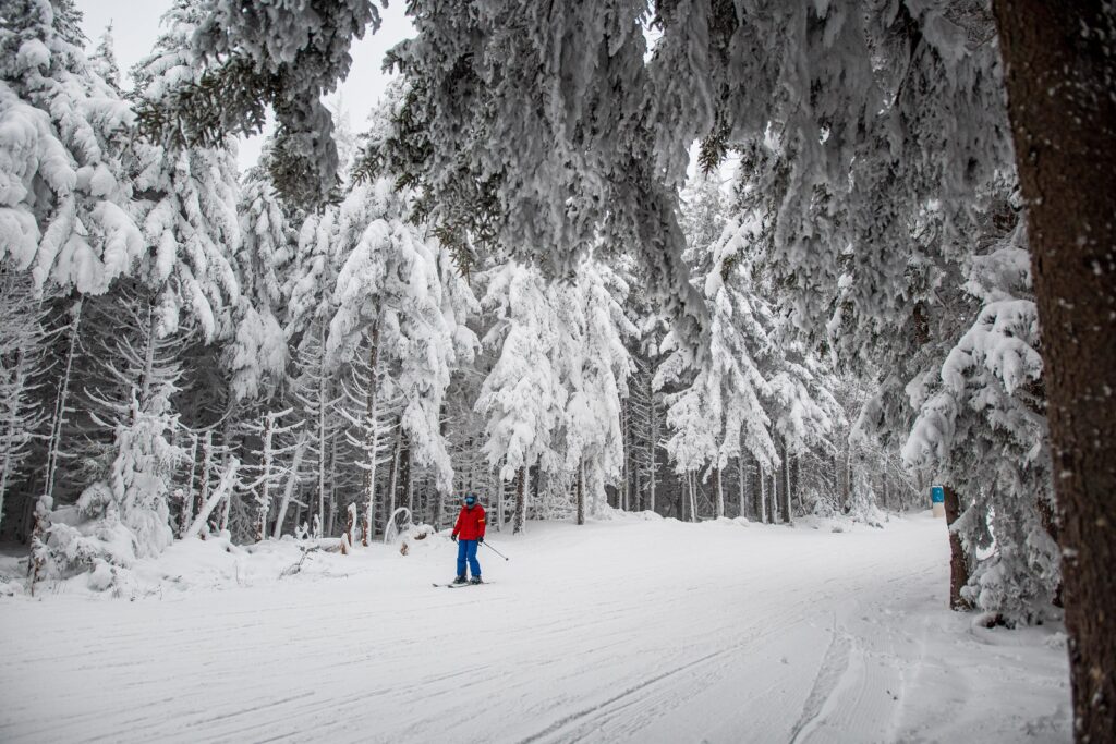 12 must-see places for snow in West Virginia - Almost Heaven - West ...