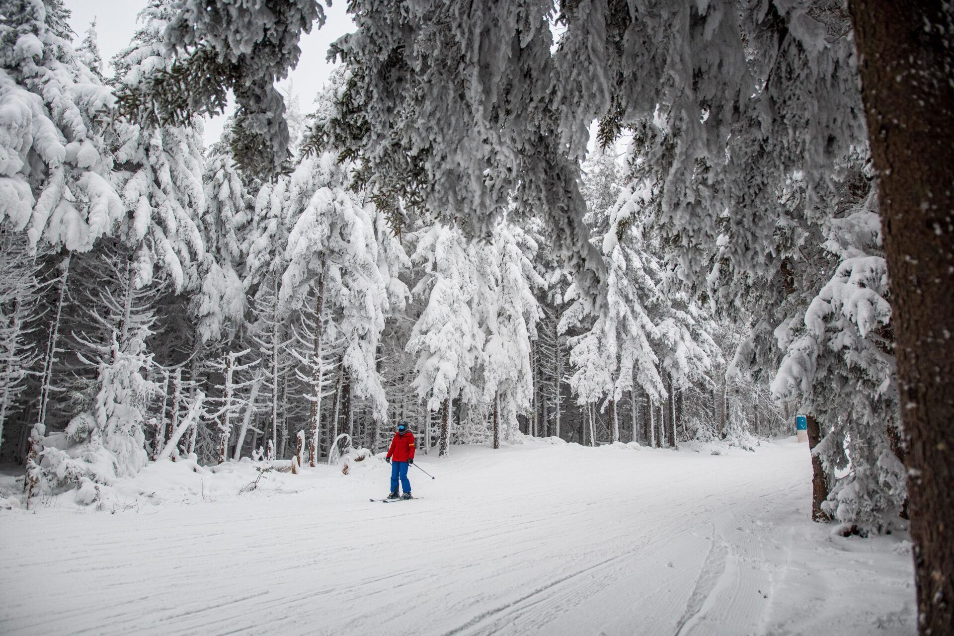 12 must-see places for snow in West Virginia - Almost Heaven - West ...