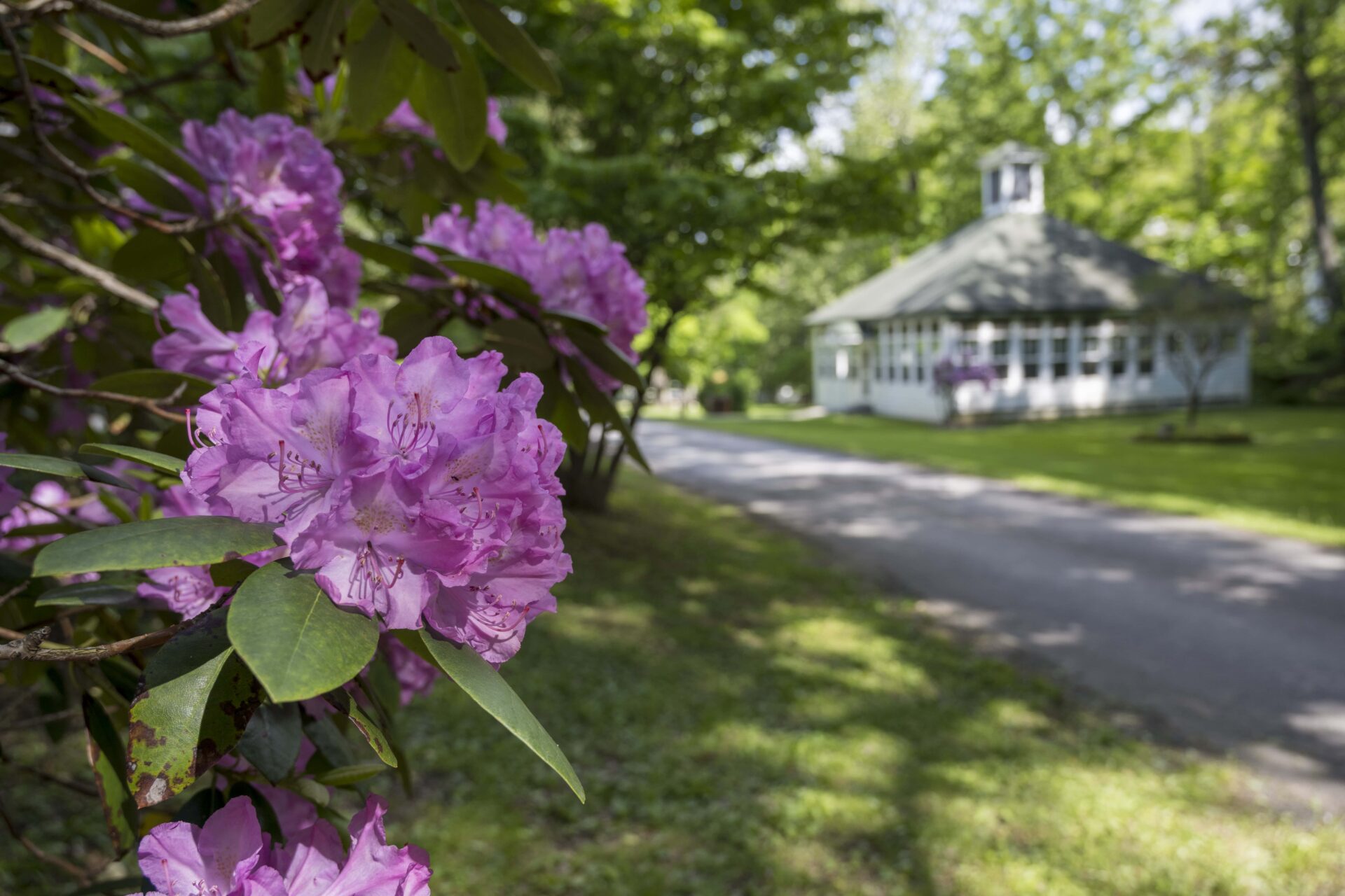 Explore These Six Only-In-West Virginia Places to Stay - Almost Heaven ...