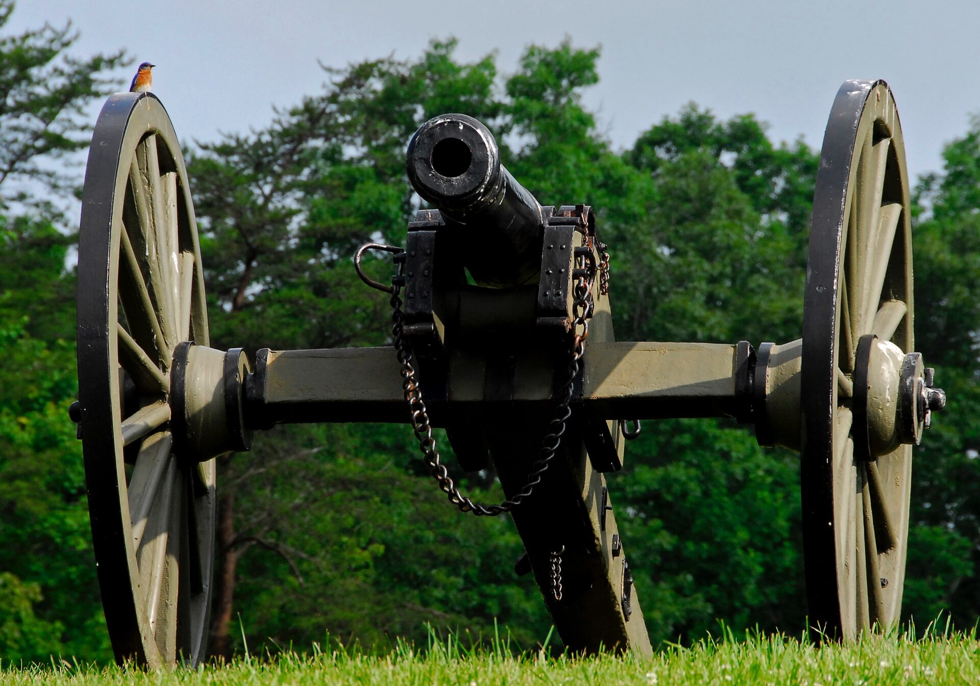 Checklist: Best thing to try at every WV State Park - Almost Heaven ...
