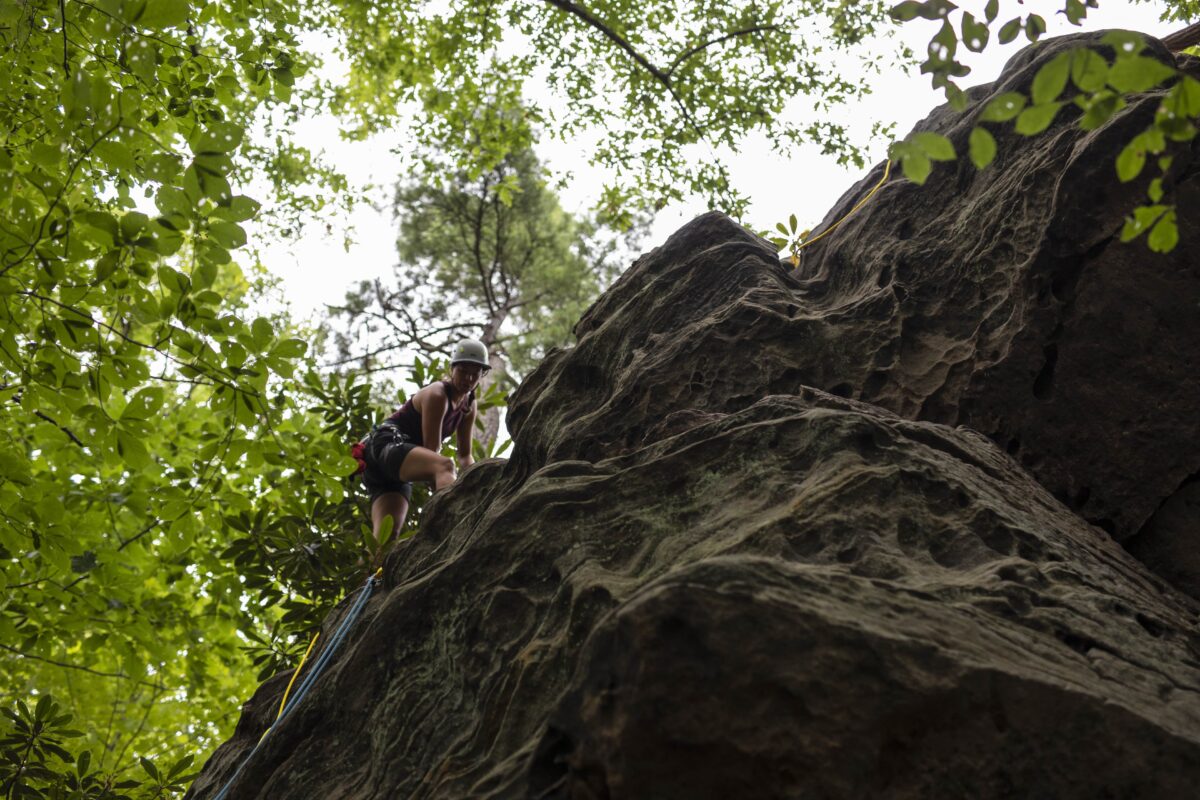 Beyond the pinnacle: 4 more things to discover at Coopers Rock - Almost ...