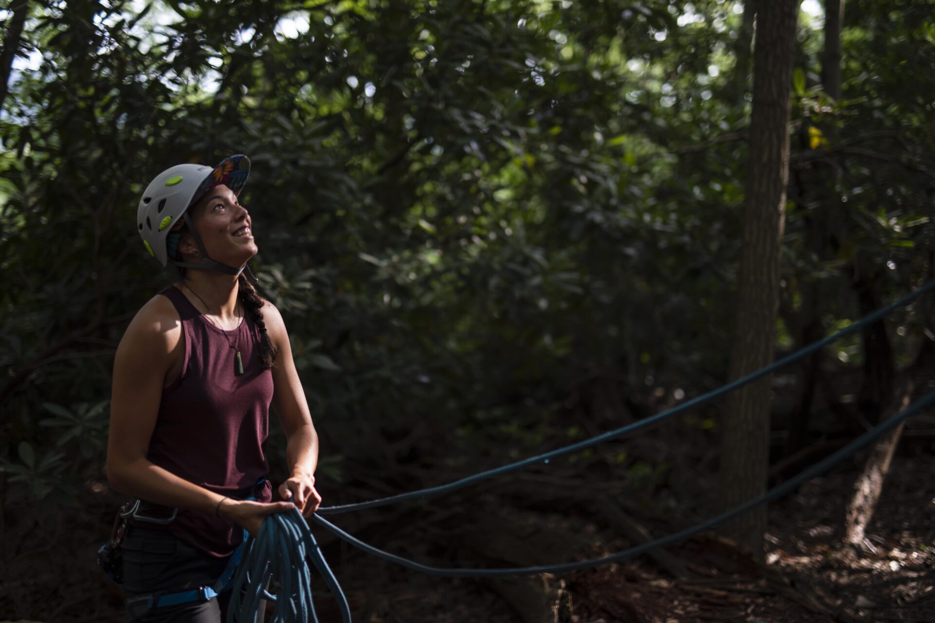 Beyond the pinnacle: 4 more things to discover at Coopers Rock - Almost ...