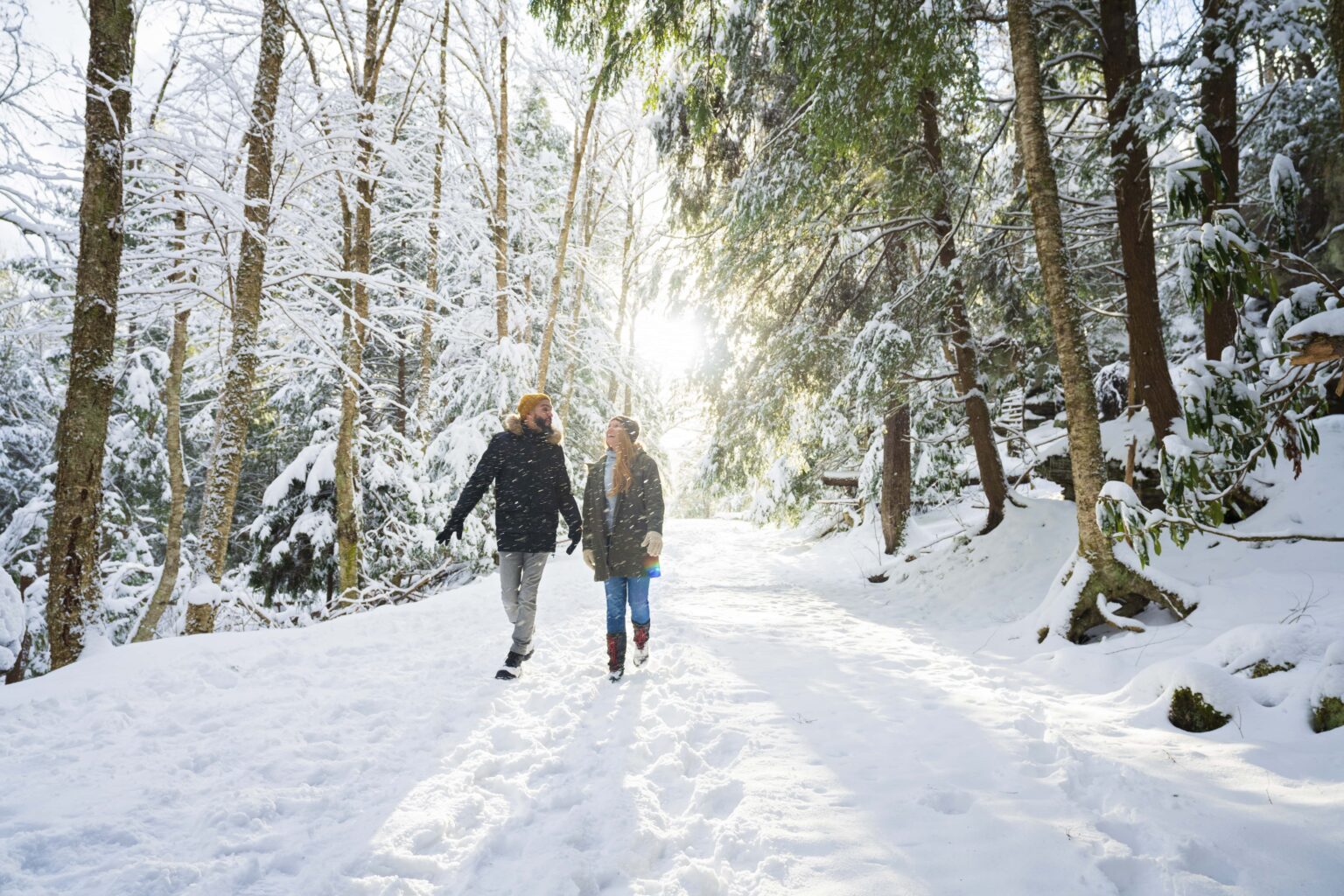 5 ways to explore WV's winter backcountry - Almost Heaven - West Virginia