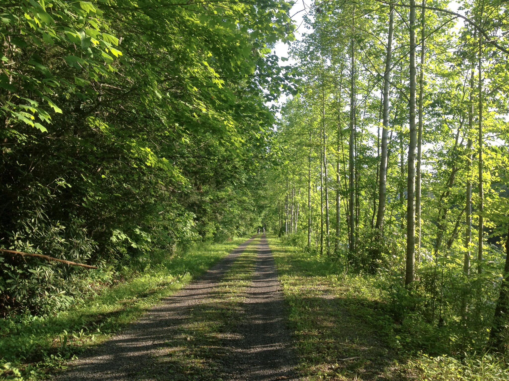 These 6 West Virginia Rail Trails Will Elevate Your Fall Spirit ...