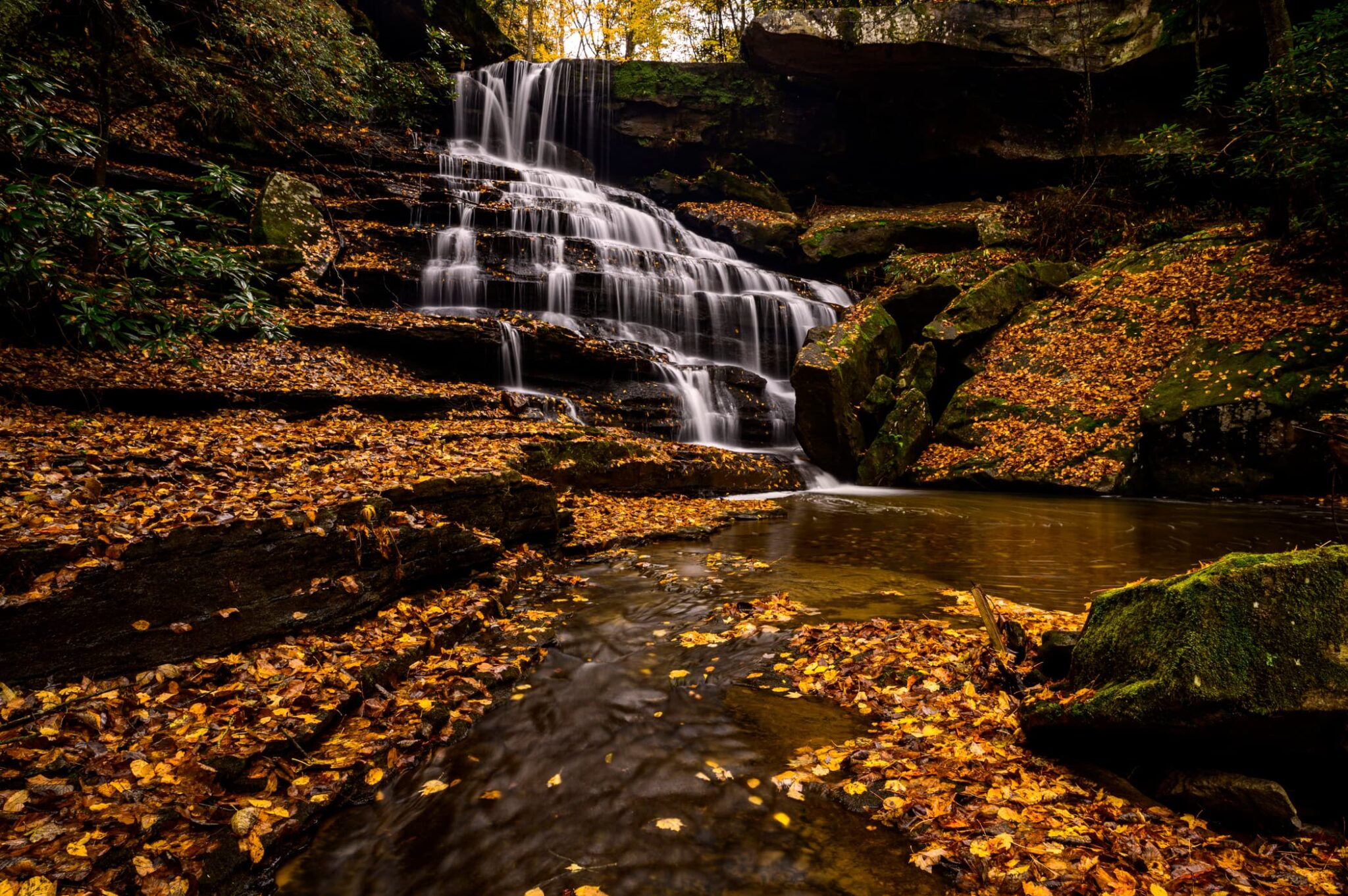 Fall in West Virginia – Leaf Peeping, Waterfall Trails & Scenic Road Trips