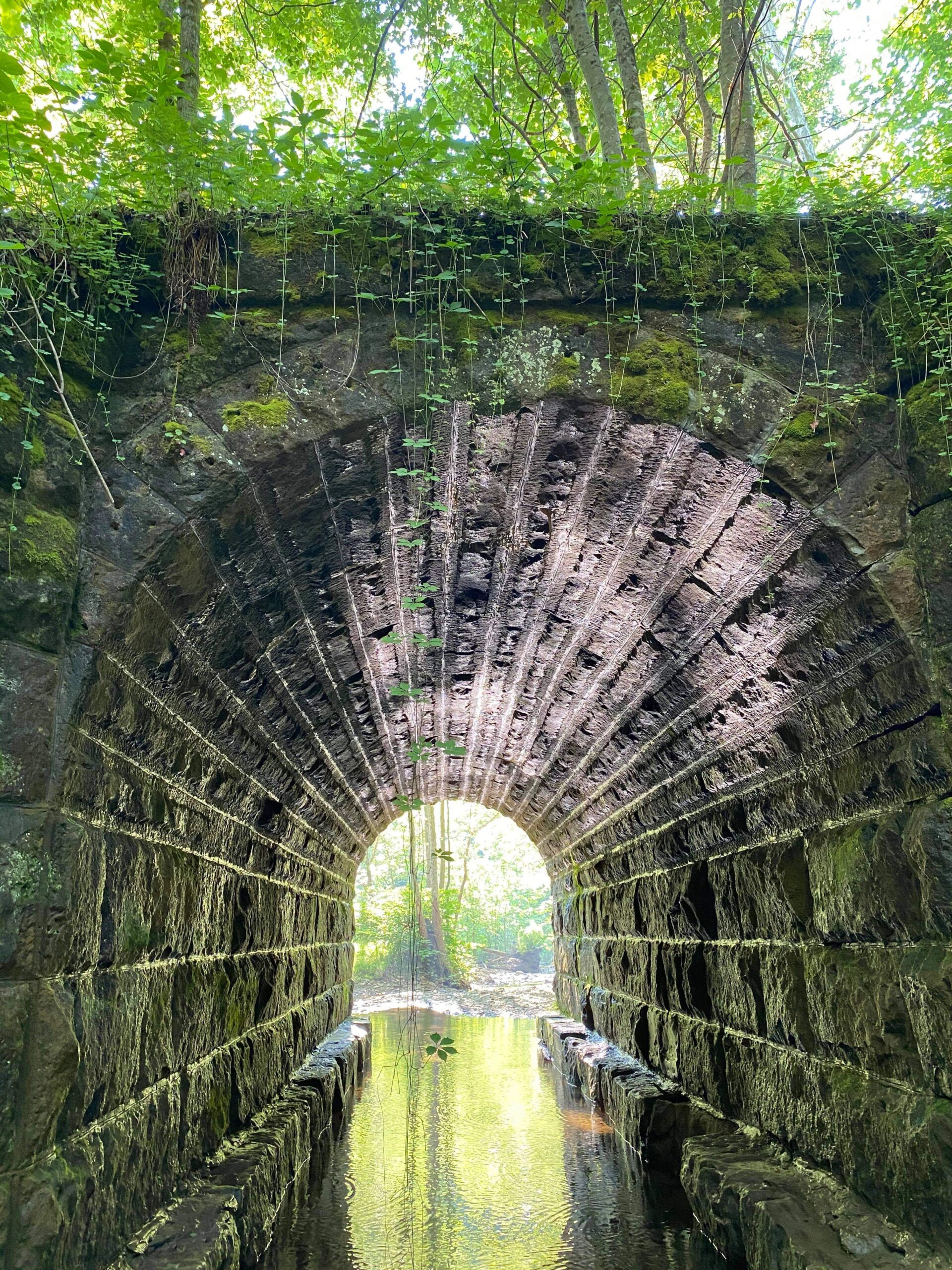 Elk River Trail Foundation, Inc. in Elkview, West Virginia - Almost ...