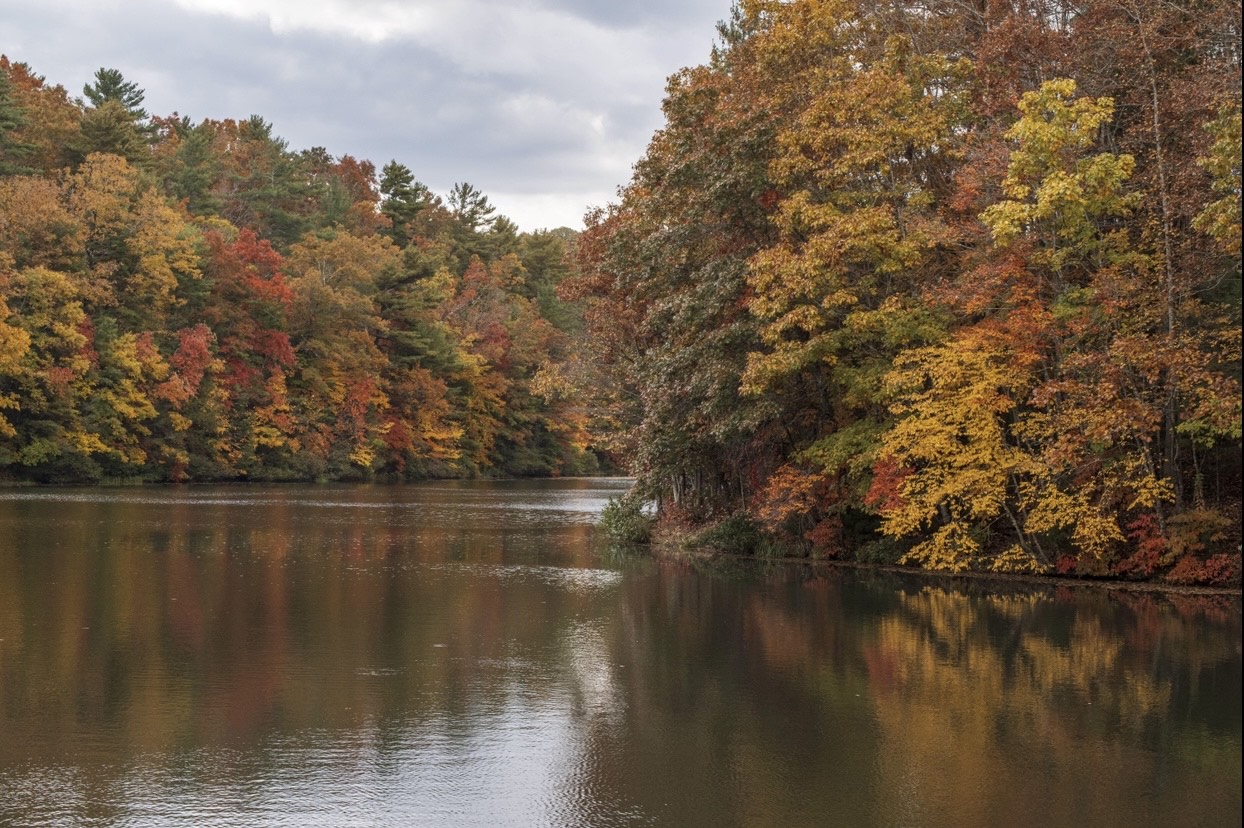 Best Fall Hikes in West Virginia