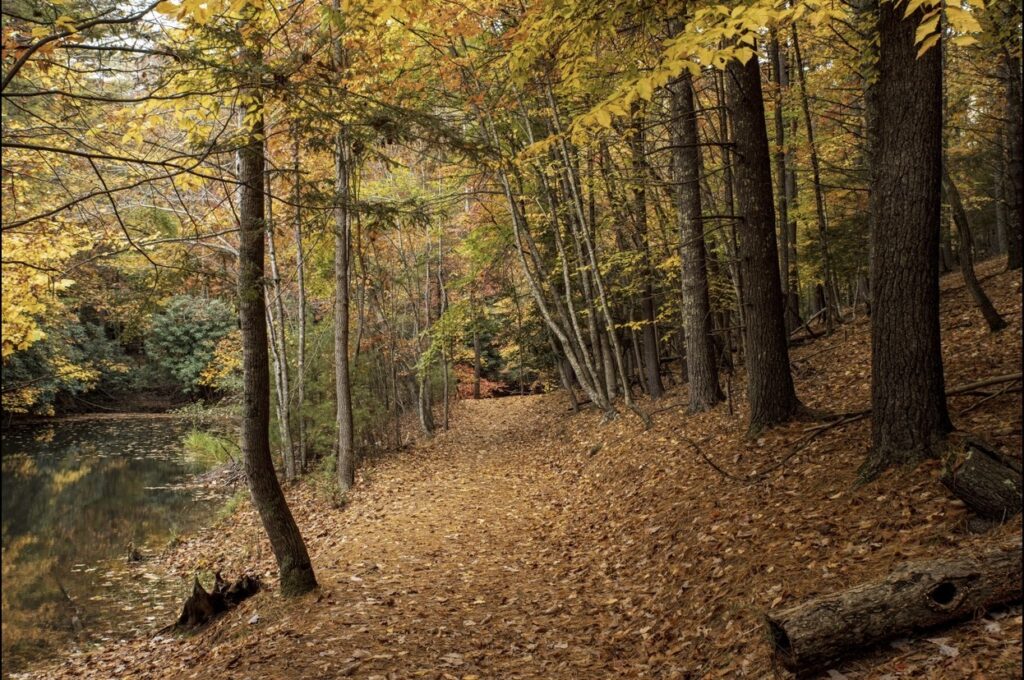Best Fall Hikes in West Virginia