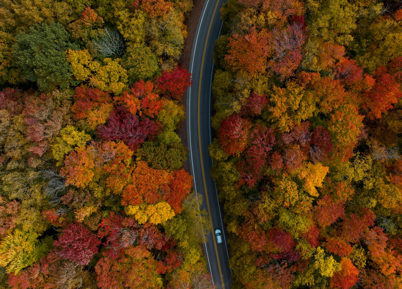The Perfect Spots To View Fall Foliage Right Now in West Virginia ...
