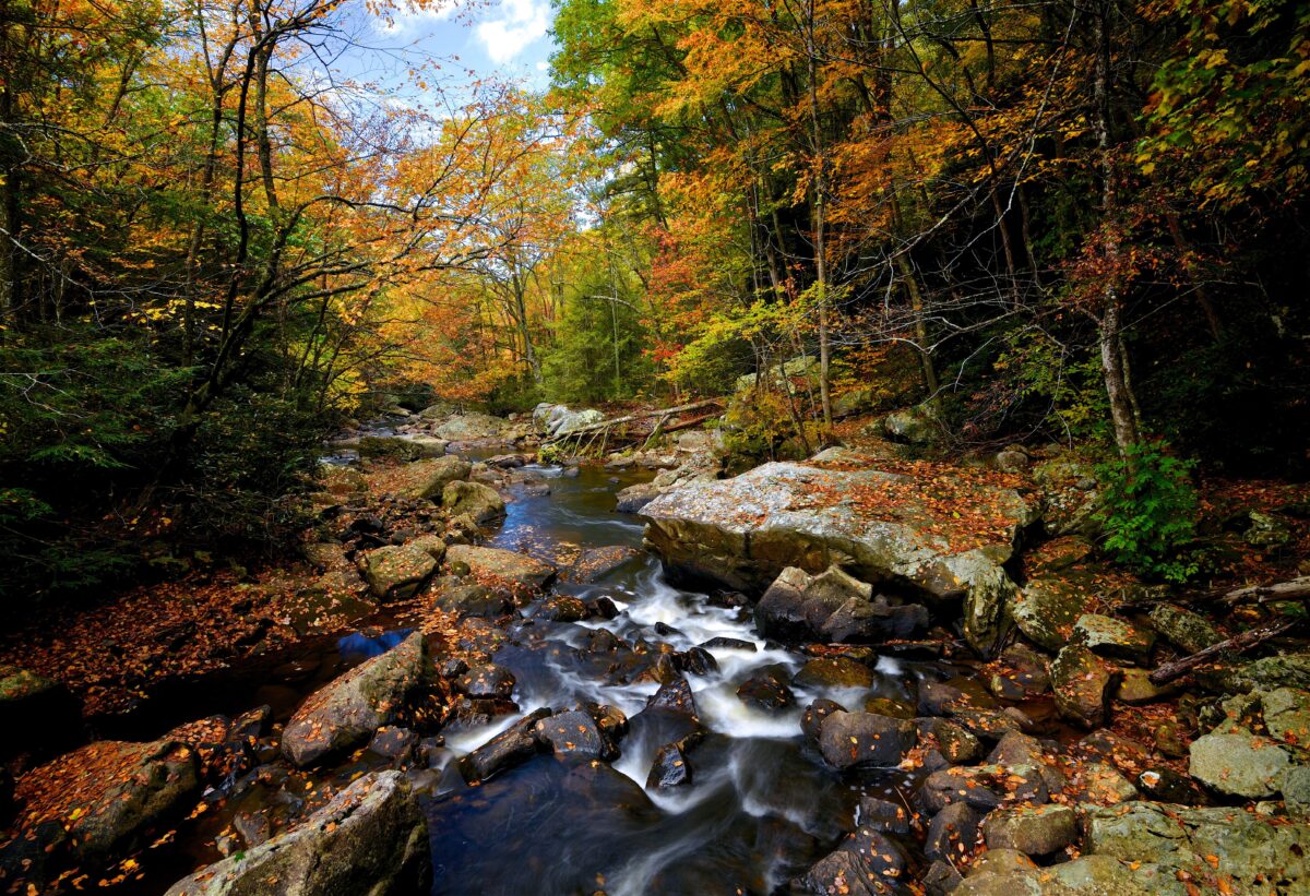 Where to See Jaw-Dropping Fall Foliage Right Now in West Virginia ...