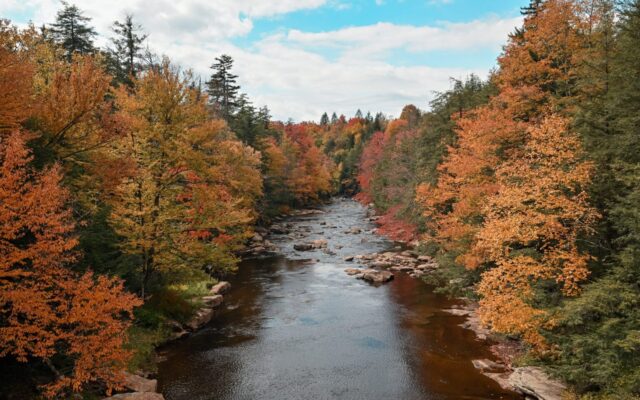 Fall in Almost Heaven - Almost Heaven - West Virginia