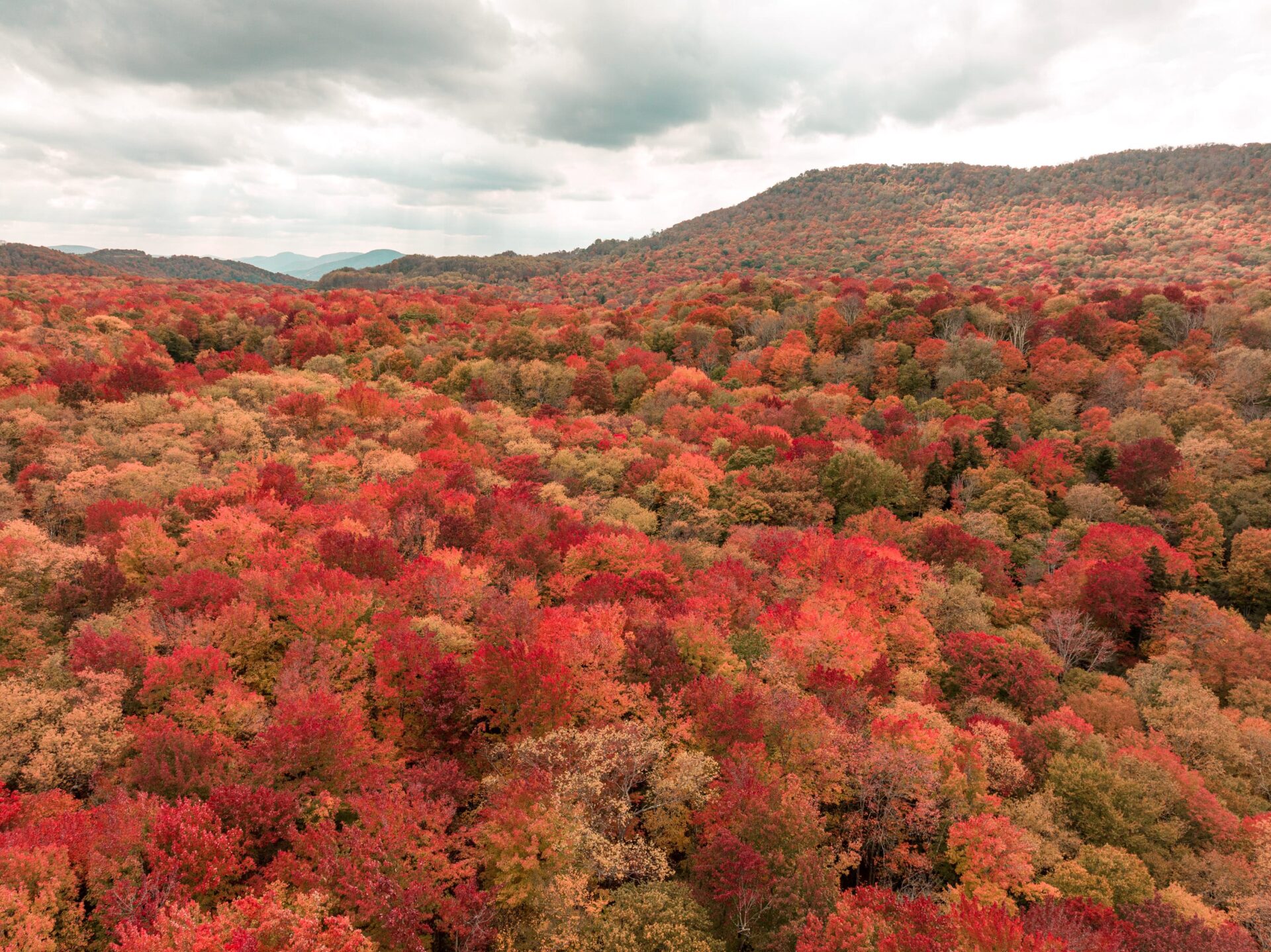 The Perfect Spots To View Fall Foliage Right Now in West Virginia ...