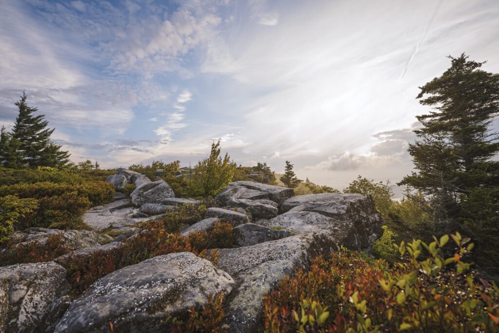 Unplug and Get Outside for National Wilderness Month in Almost Heaven ...