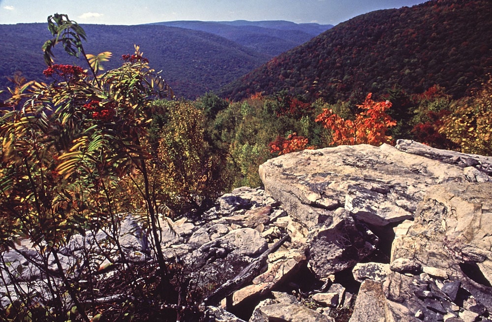 The Perfect Spots To View Fall Foliage Right Now in West Virginia ...