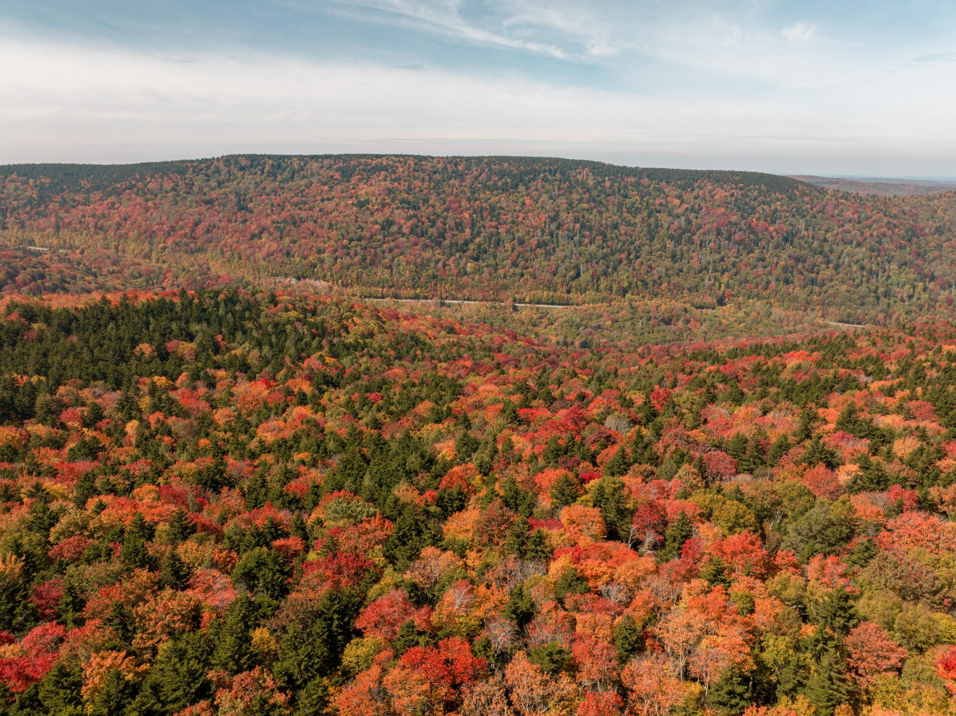 The Perfect Spots To View Fall Foliage Right Now in West Virginia ...