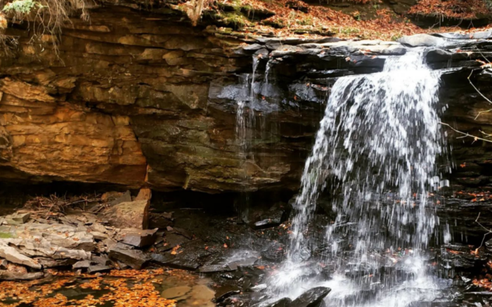 Meet The Two Newest Additions to the West Virginia Waterfall Trail ...