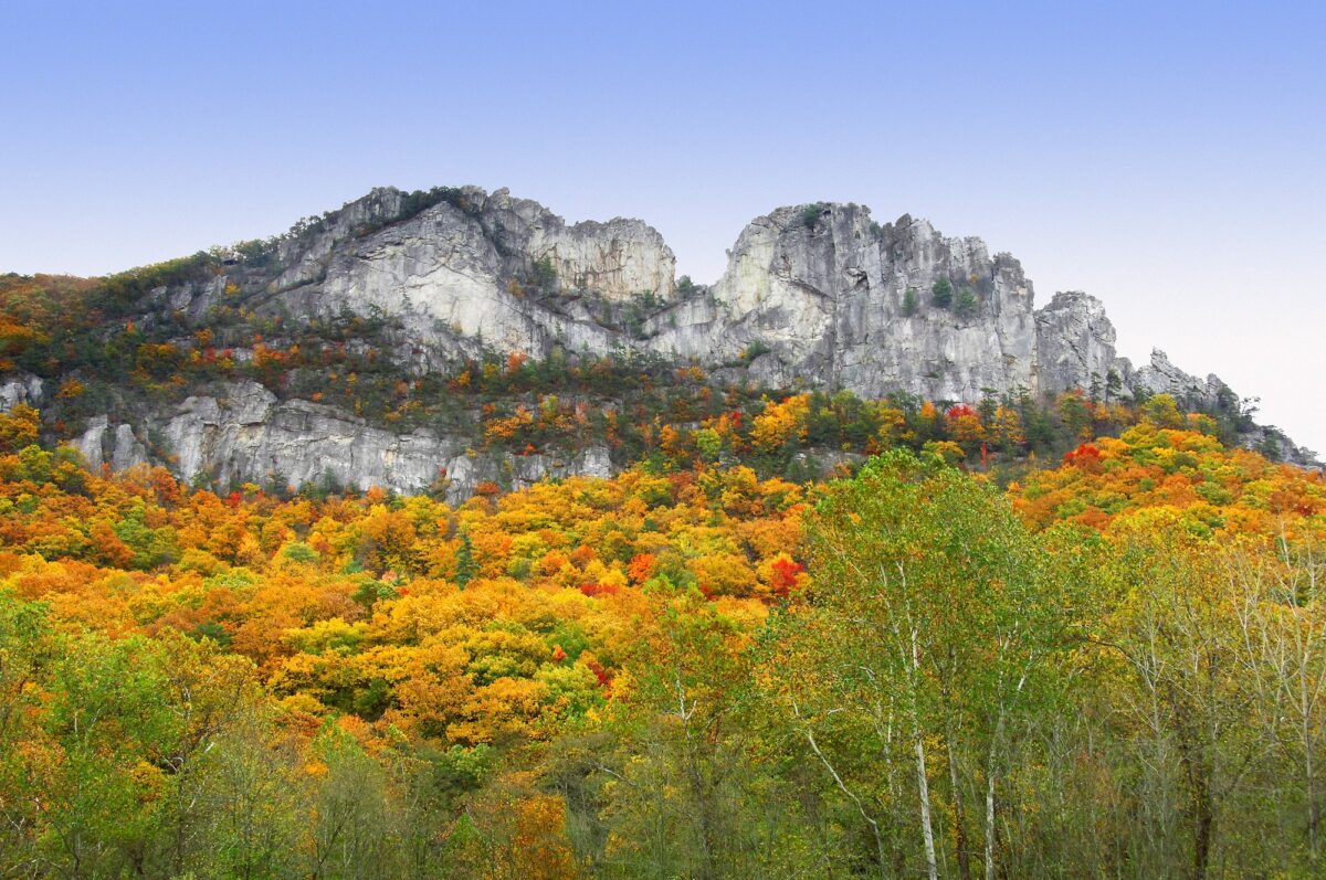 The Perfect Spots To View Fall Foliage Right Now in West Virginia ...