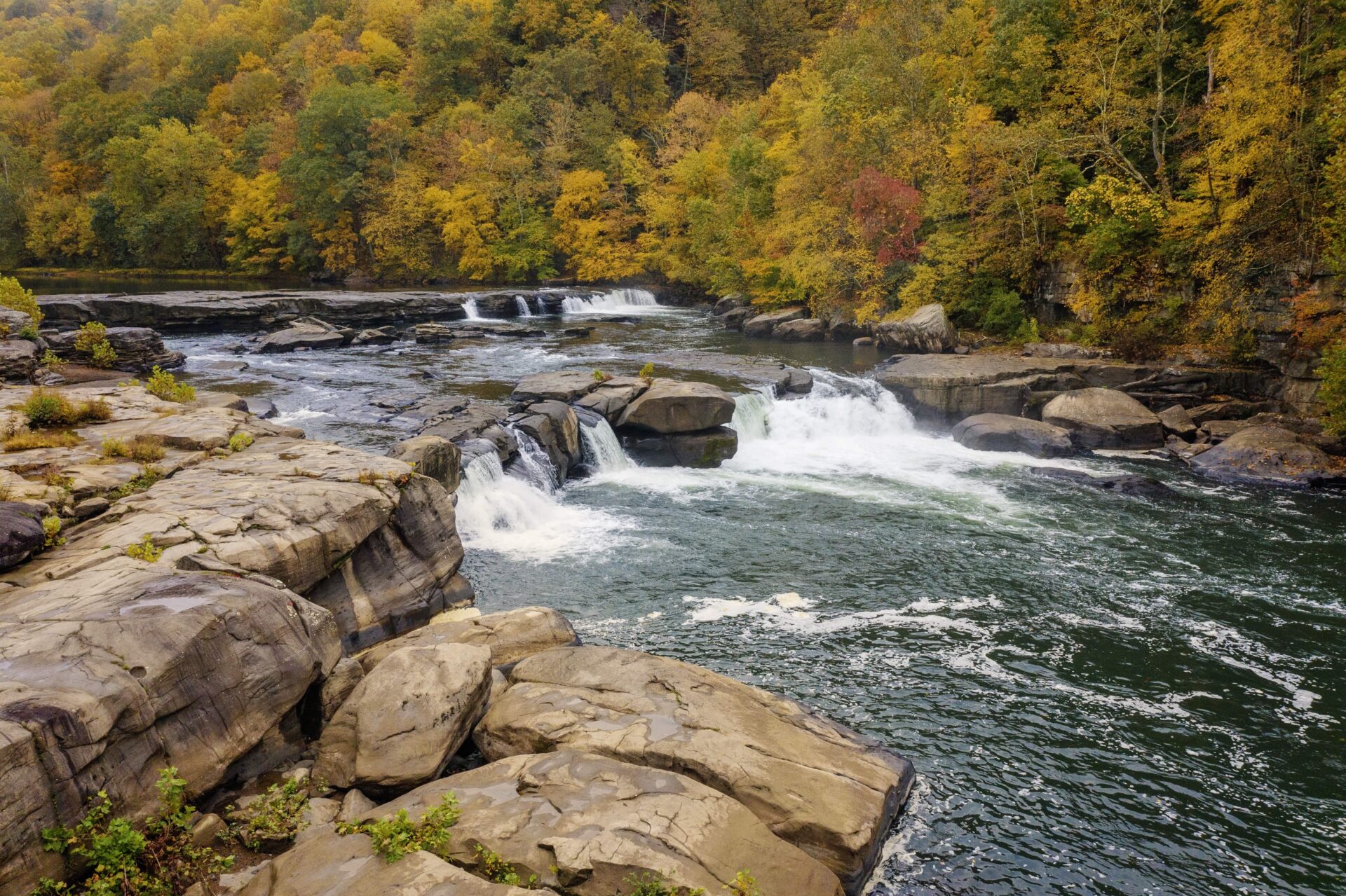 The Perfect Spots To View Fall Foliage Right Now in West Virginia ...