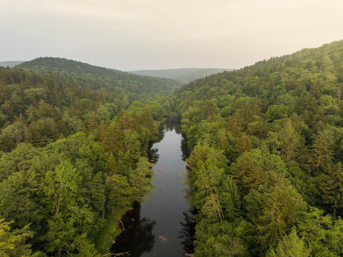 Appalachian Forest National Heritage Area - Almost Heaven - West Virginia