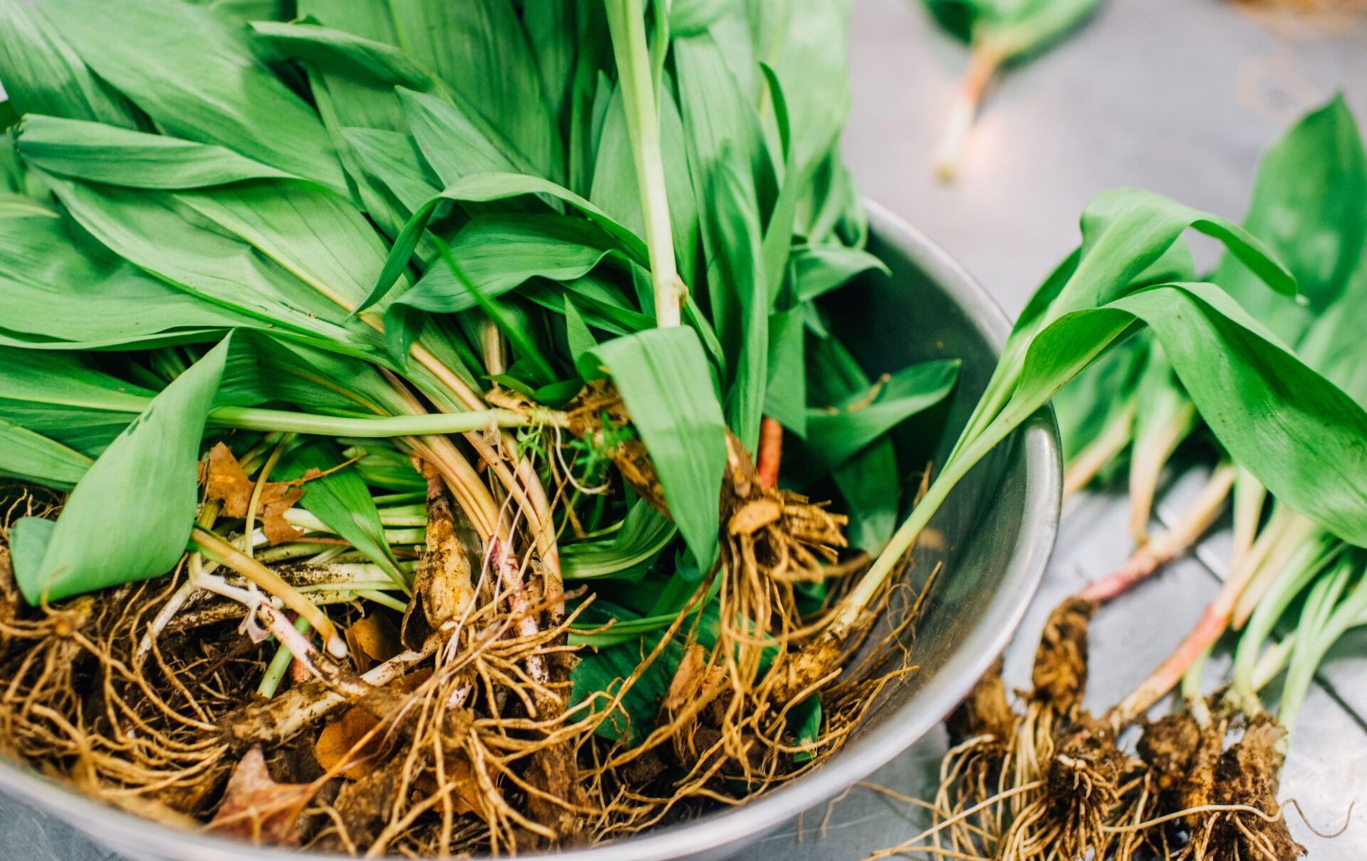 5 May Events You Won't Want to Miss in West Virginia - Almost Heaven ...