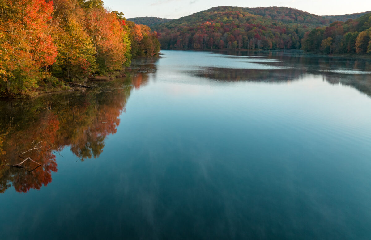 The 2024 West Virginia Gold Rush: Week 1 Fishing Spots - Almost Heaven ...