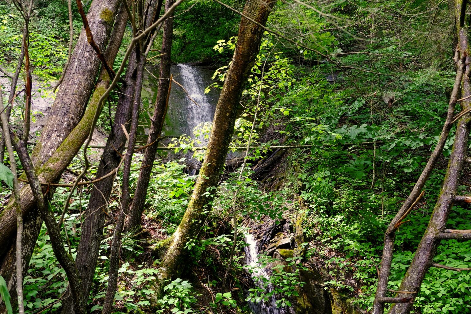 Clear Fork Rail Trail Waterfall in Markfork, West Virginia - Almost Heaven - West Virginia