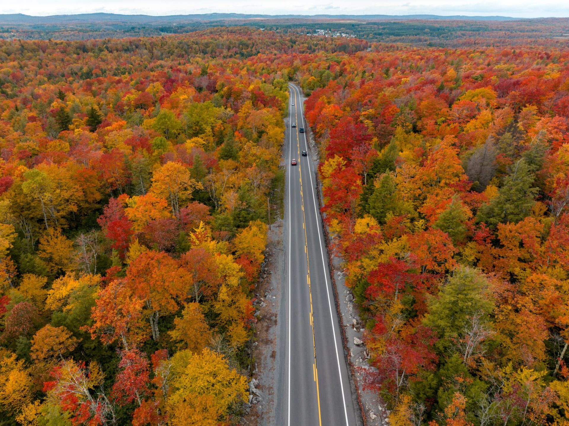 Tucker County Convention and Visitor's Bureau (CVB) - Almost Heaven ...