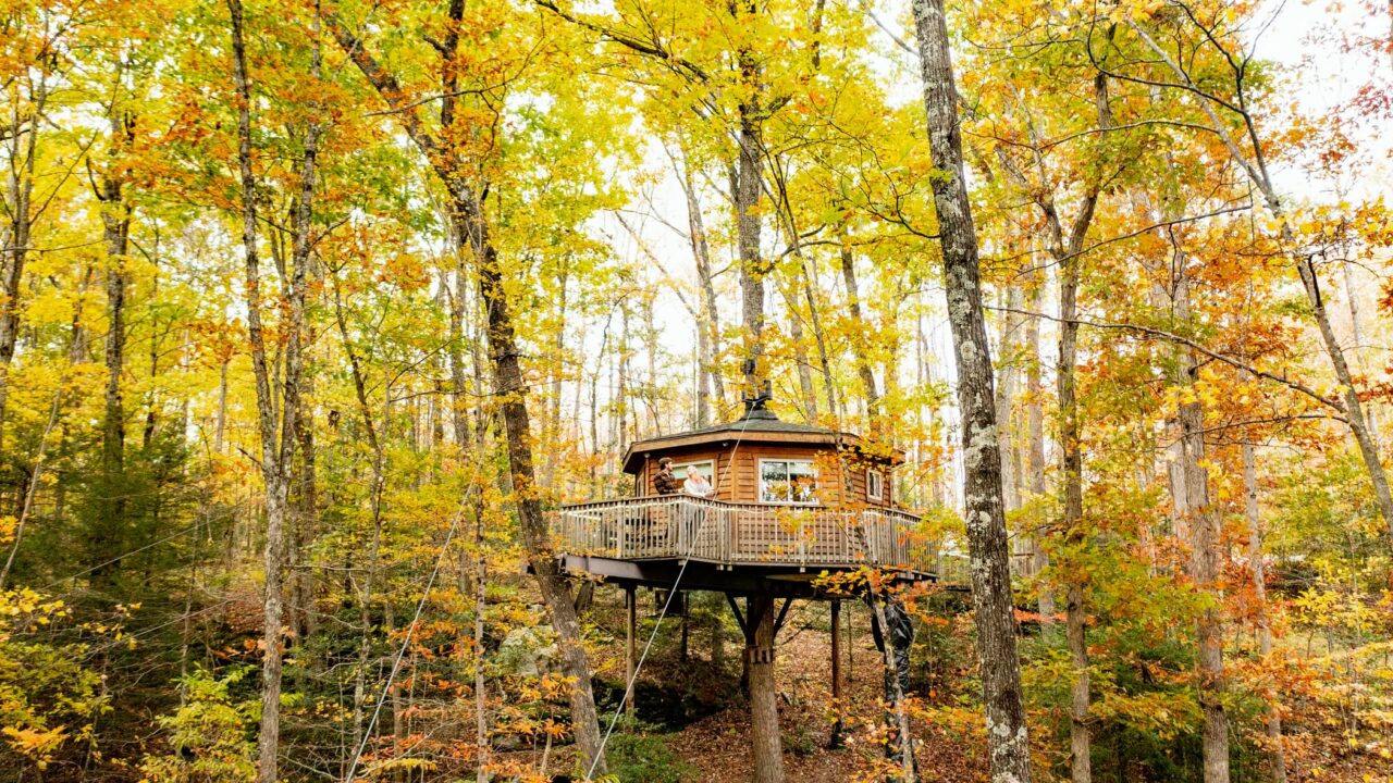 Plan a Whitewater Rafting Adventure This Gauley Season in West Virginia ...
