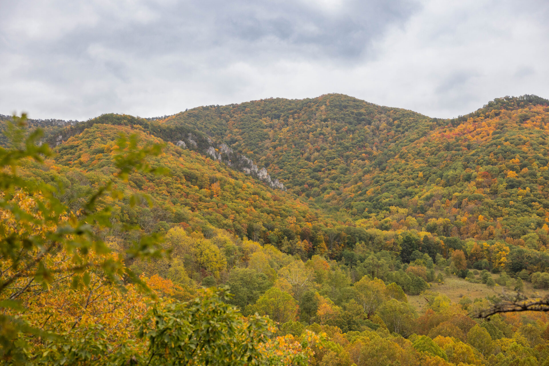 Escape the Winter Chills and Stay Warm in a Cozy West Virginia Cabin ...