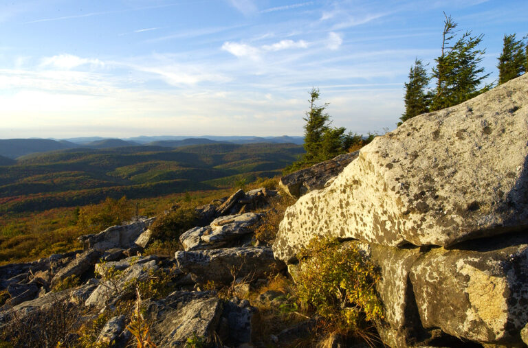 6 Must-Try Hiking Trails in West Virginia - Almost Heaven - West Virginia