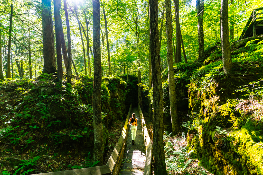 West Virginia is the Best Summer Spot for Solo Travelers - Almost ...