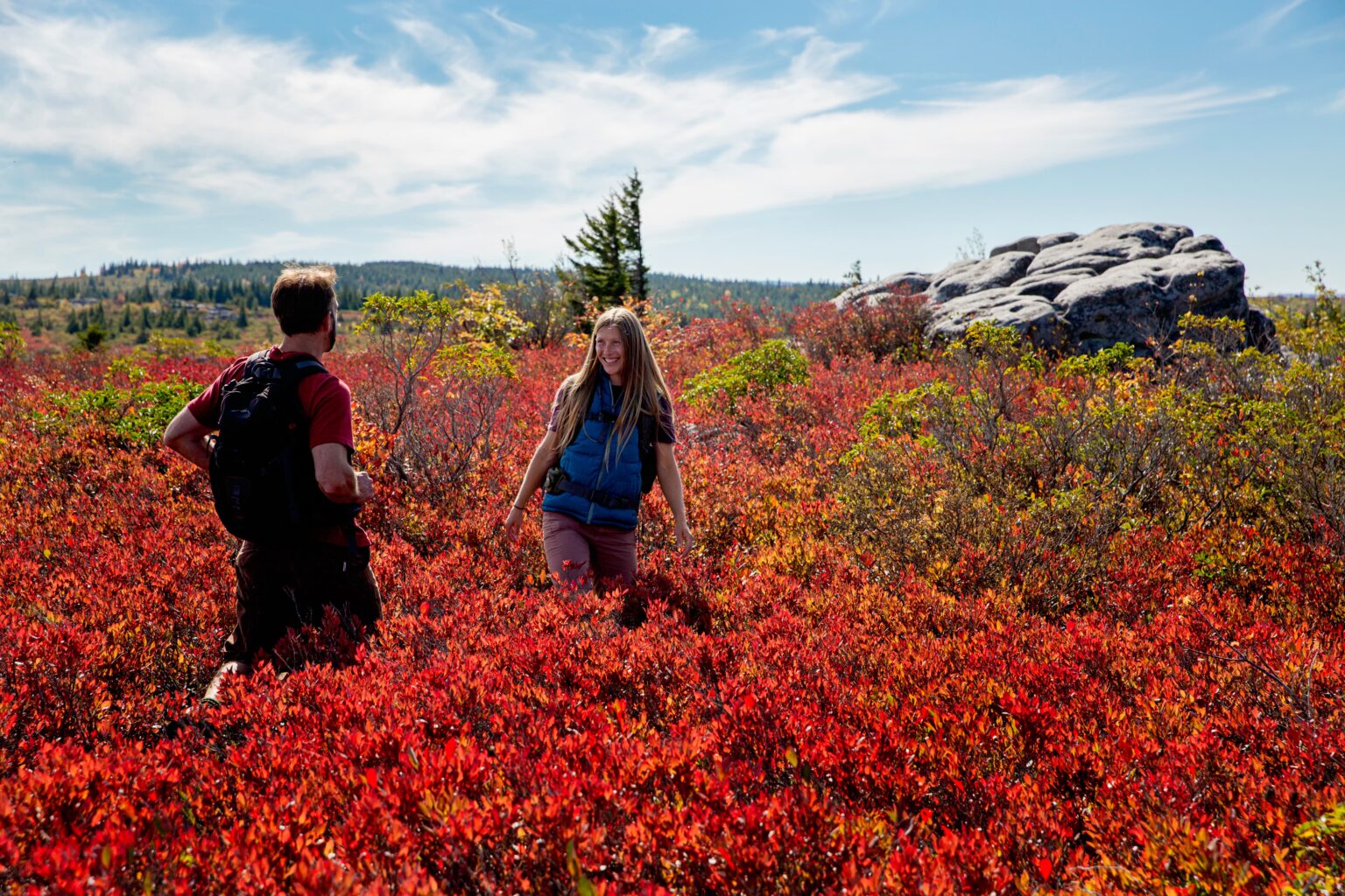 Stunning Fall Foliage Continues to Make Waves in Almost Heaven – Week ...