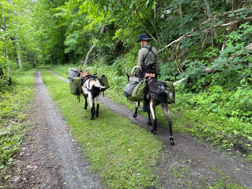 7 Surprisingly Cool Things to Do in the Greenbrier Valley - Almost ...