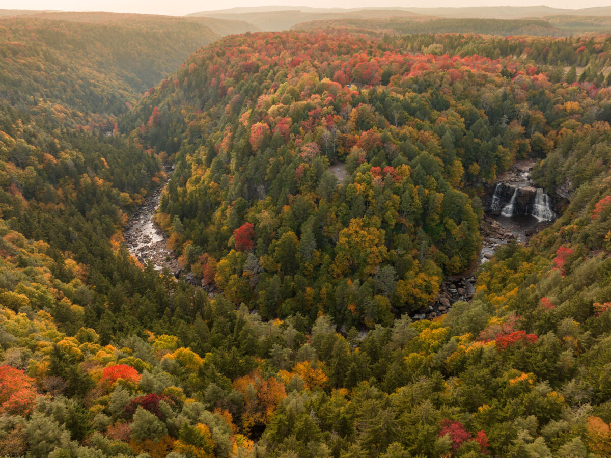 Where to Explore Bursts of Early Fall Color Right Now in West Virginia ...