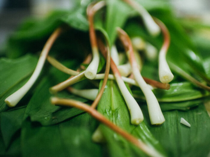 A Foodie's Guide to Ramp Season in West Virginia - Almost Heaven - West ...